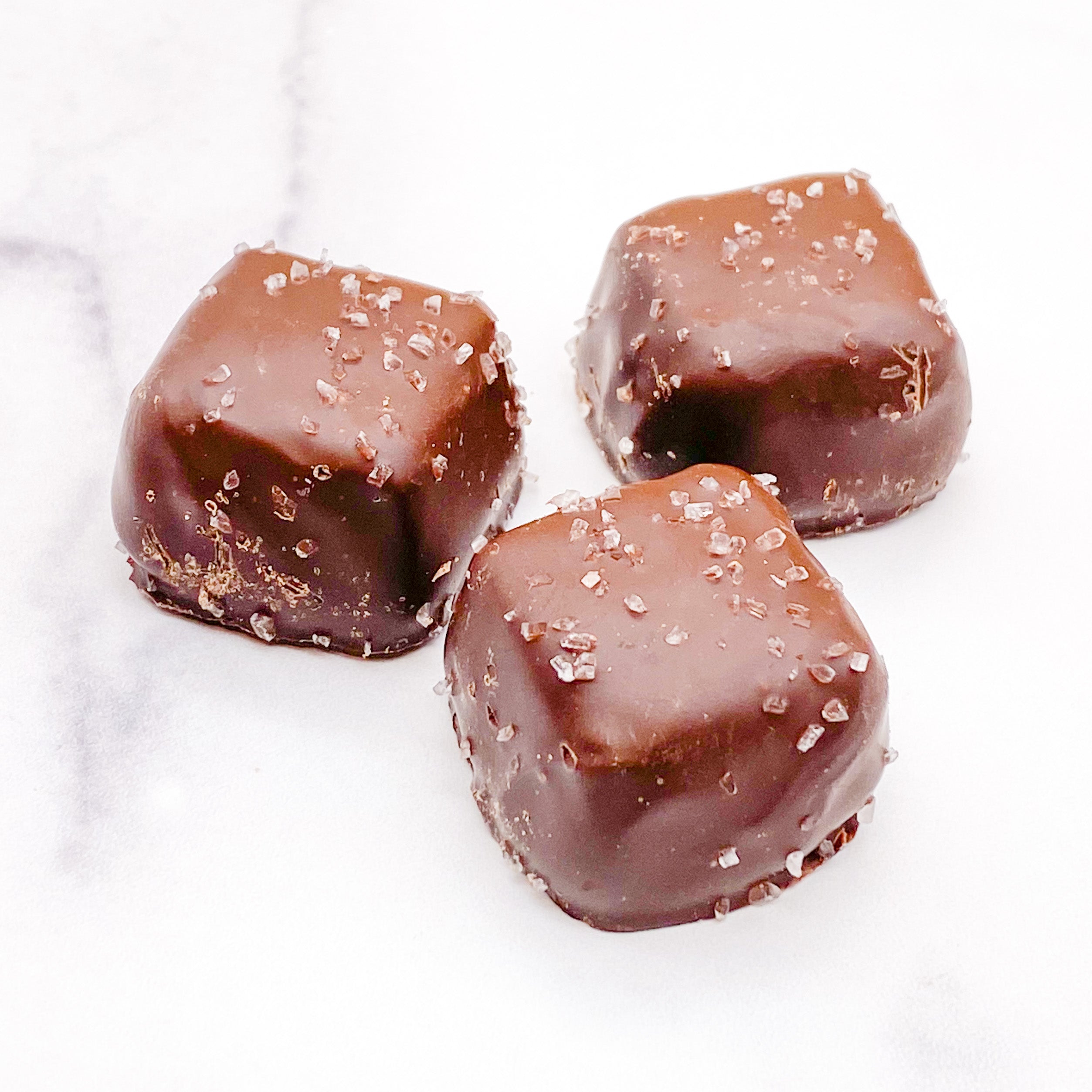 Dark Chocolate Caramel Sea Salt – Mister Ed's Elephant Museum & Candy ...